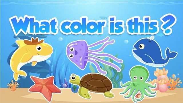 Fun and Educational Toy Videos - Watch, Learn, and Enjoy | SuperKid.TV